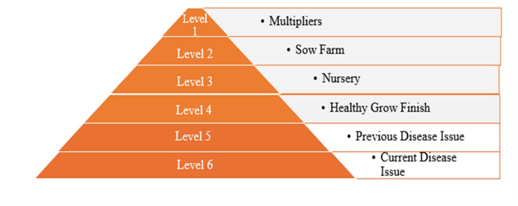 Biosecurity at the Feed Mill: A Critical Step in Disease Prevention ...